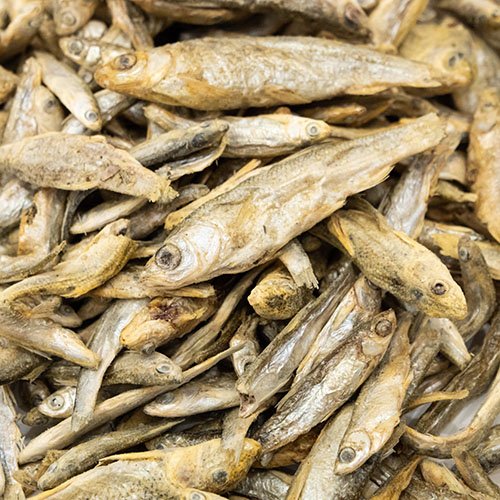 Freeze Dried Minnows NY-514 – wormsupplier.com